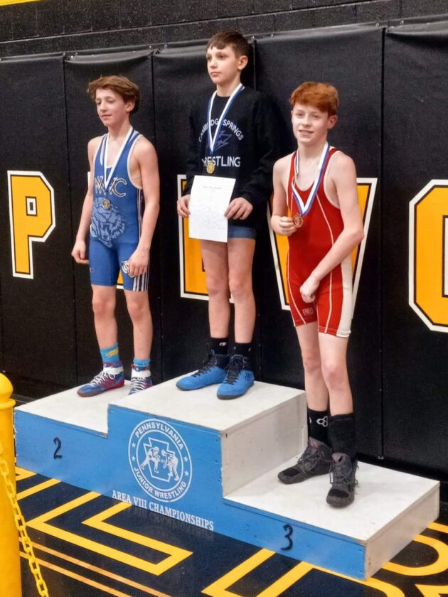 Little Eagles wrestlers perform well at state qualifier | News, Sports ...
